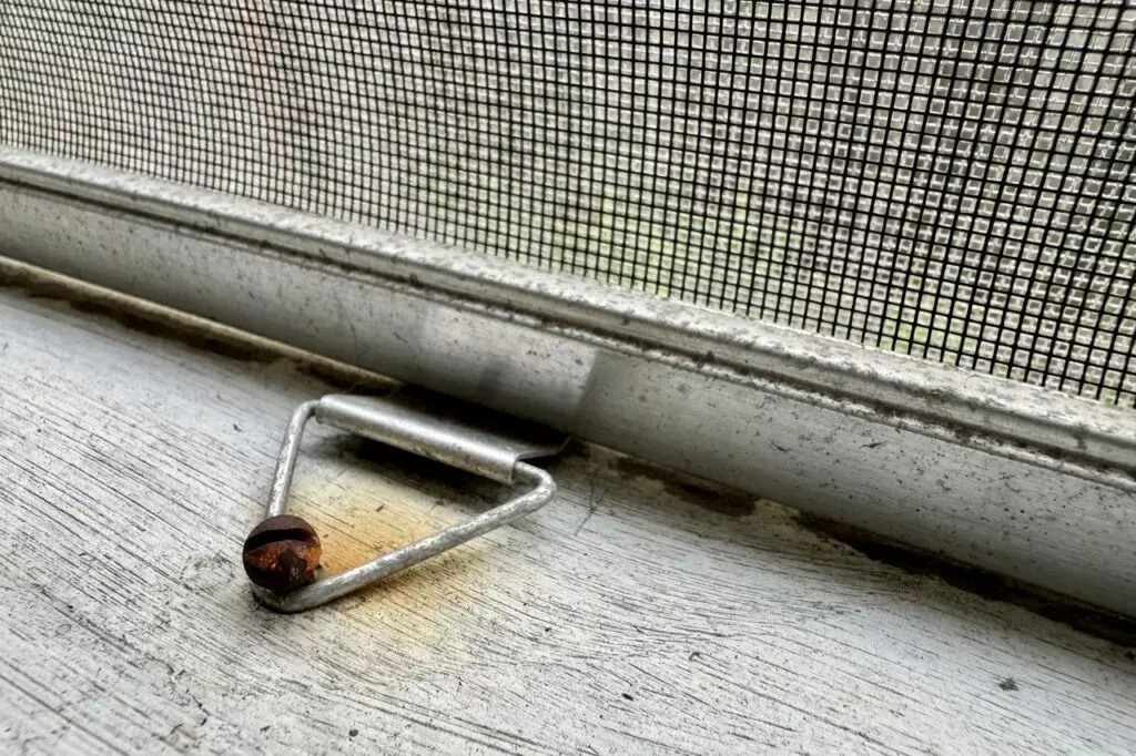 Complete Guide to Cat-Proofing Windows & Screens - VerveCat