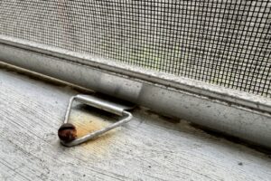 Complete Guide to Cat-Proofing Windows & Screens - VerveCat