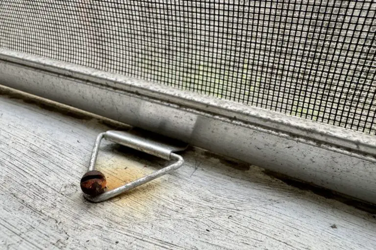 Complete Guide to Cat-Proofing Windows & Screens - VerveCat